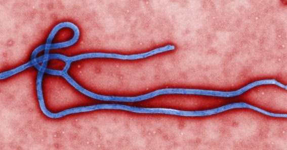 Regeneron's Antibody Cocktail REGN-EB3 (Inmazeb®) is First FDA-Approved ...