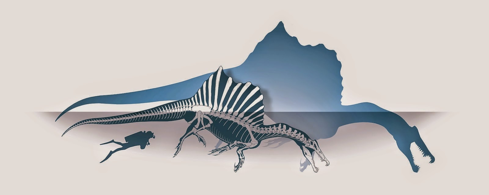 Mundo Terópodo: La Nueva Cara del Espinosaurio