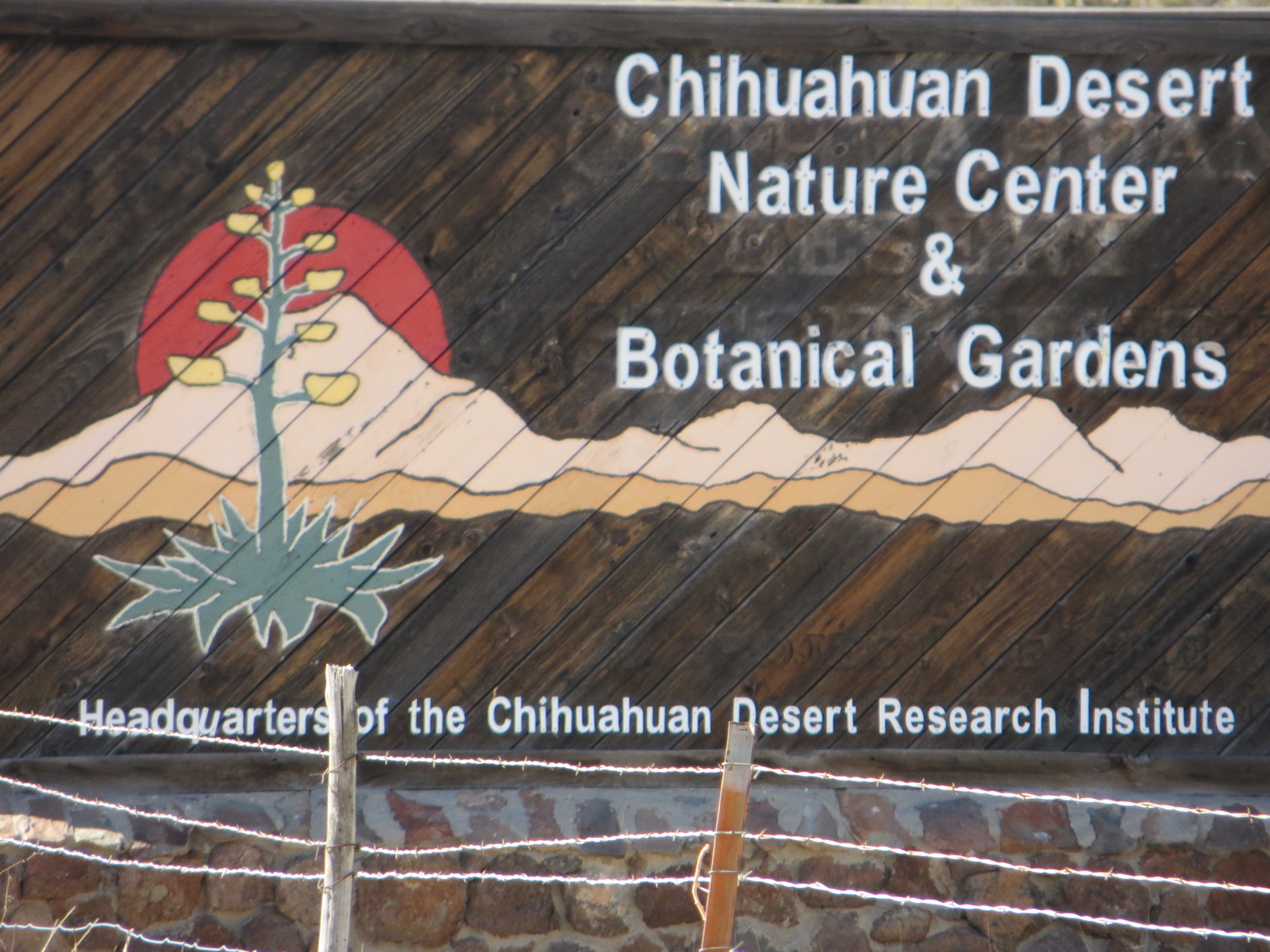 Livin' the Dream 2: Chihuahuan Desert