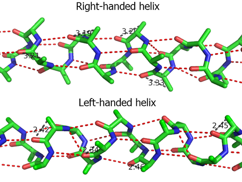 biotic-blog: Chemistry: Scientists Unlock Mystery of How 'Handedness ...