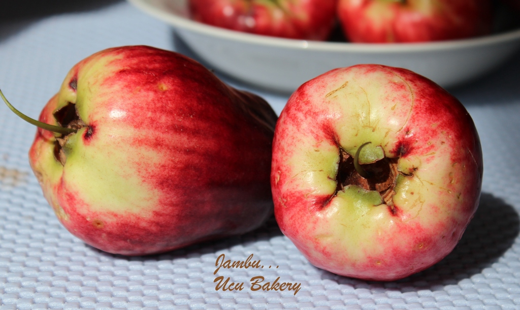 Jambu yg paling banyak nama..... * Ucu Bakery