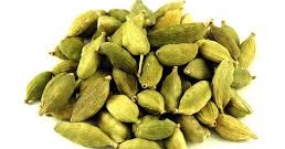 Elettaria cardemomum / Karadamunu / කරදමුංගු / Sukshma Ela/ Sukshmā ...