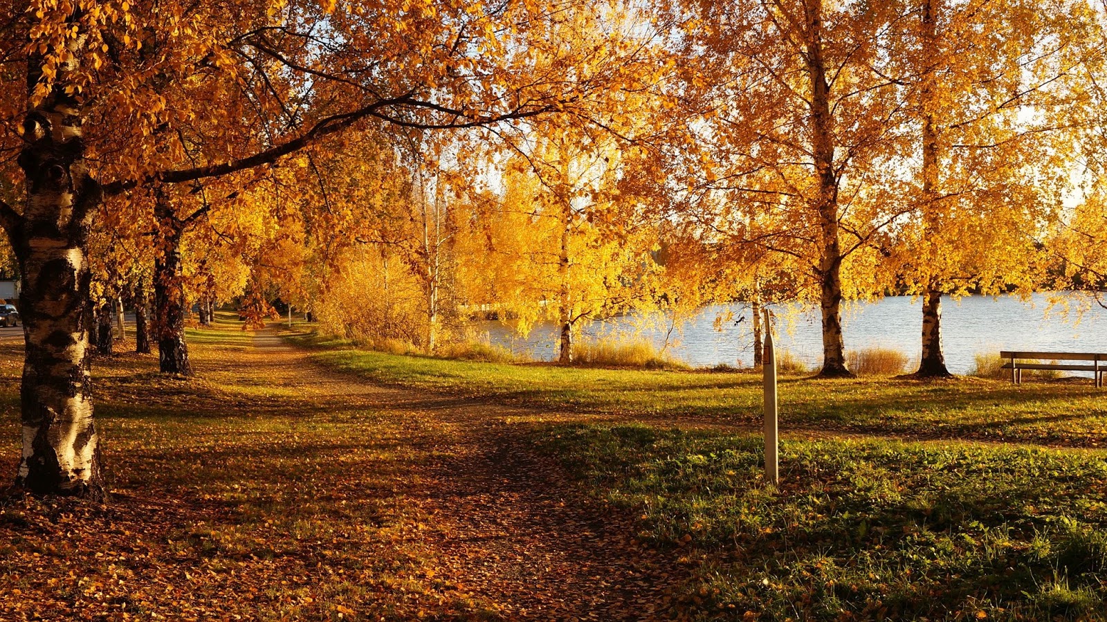 Tulevan syksyn suunnitelmia - CURIOUS FEET