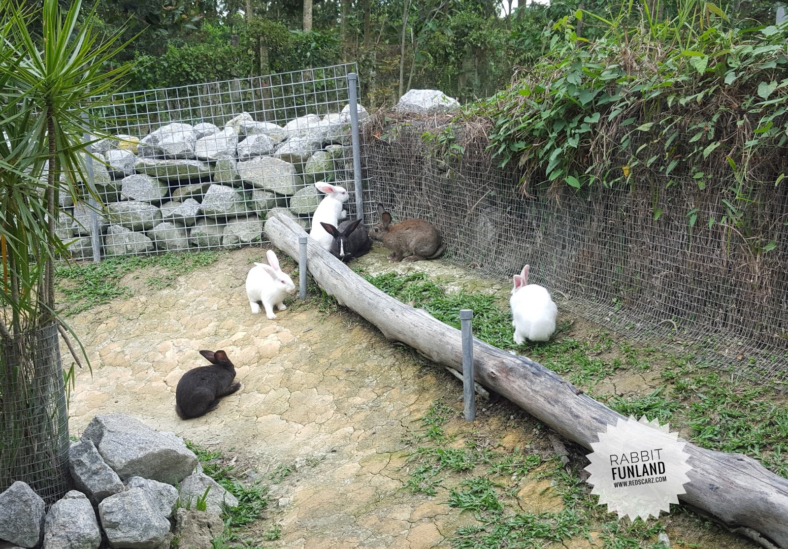 DAUS REDSCARZ: Rabbit Fun Land Broga berpindah ke Lenggeng, Negeri Sembilan