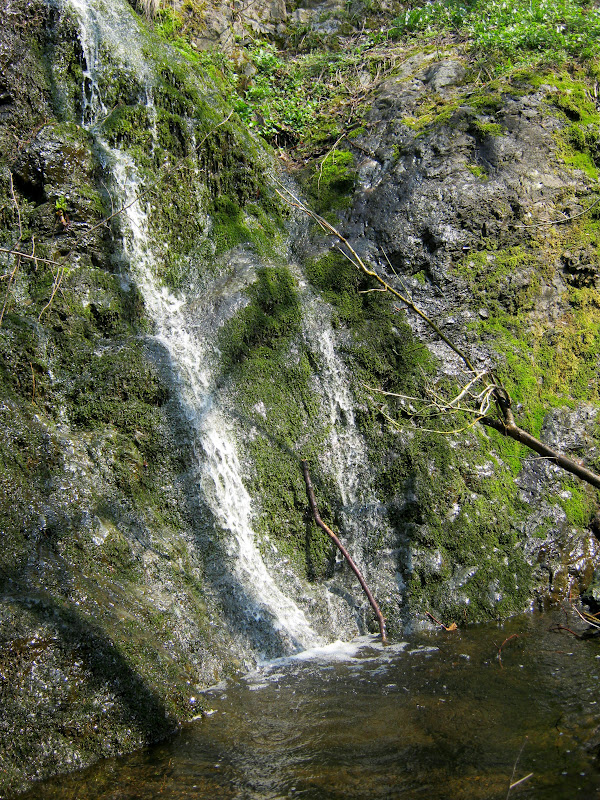 Country inside: Primăvara Dobrogeană ~ Cheile Chediului şi Valea Cozluk