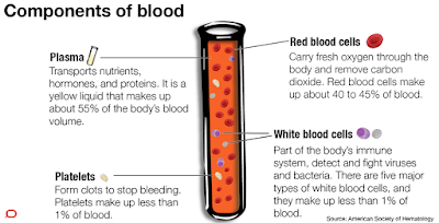 Body System: Blood Components
