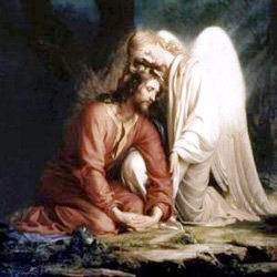 Católicos Unidos de Puerto Rico: 6/3/11 - 13/3/11