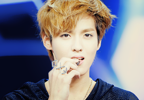 Kris Profile | ALL ABOUT KOREA
