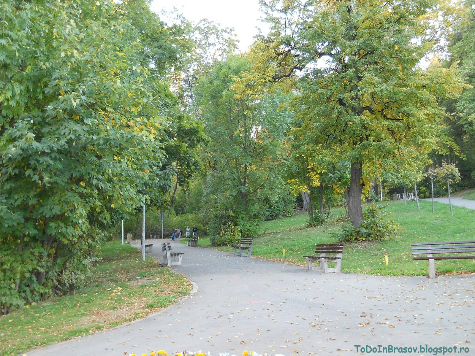 To Do In Brasov - Afla tot ce poti sa faci in cel mai frumos oras din ...