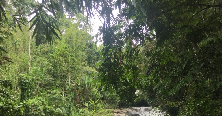 Selangor State Park - Taman Warisan Negeri Selangor: Sungai Gabai Waterfall
