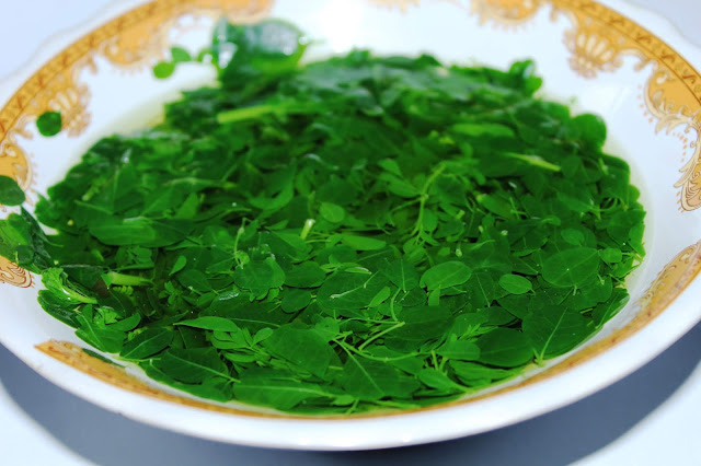 Manfaat Daun Kelor Untuk Organ Penting Tubuh Manusia - WP Info