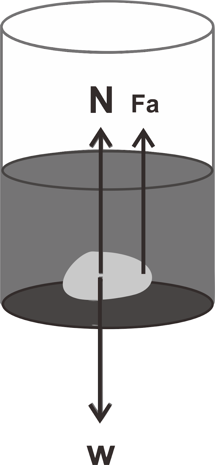 Gaya Apung dan Hukum Archimedes - Science