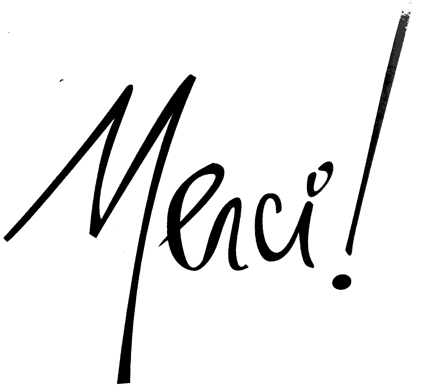 Bronson Walkabout: Paris: Merci, au revoir & à bientôt!