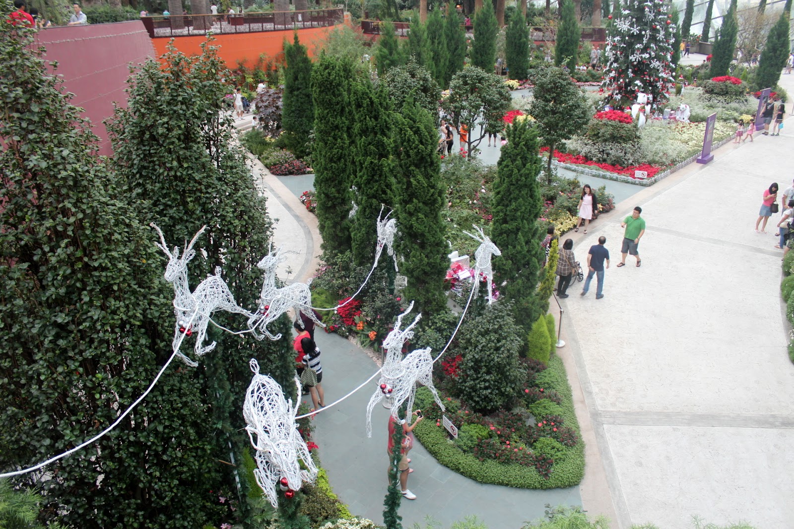 P for Phyllis: Gardens by the Bay @ Singapore