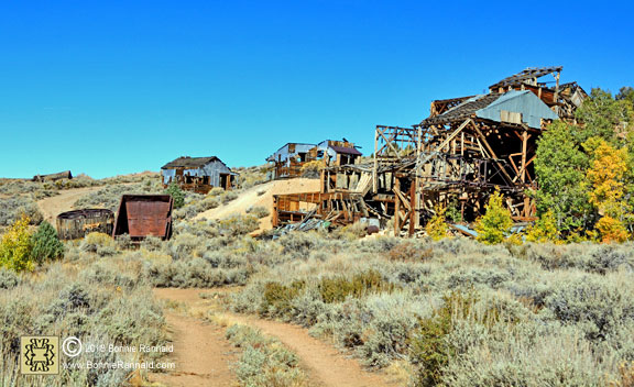 Bonnie Rannald's Photo-Explorations in focus with nature.