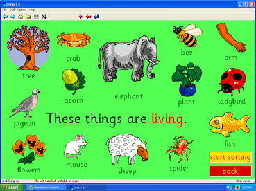 kidsmag: living things