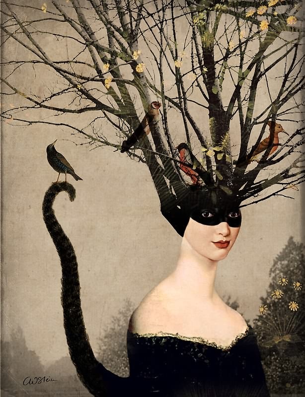 antblog: Catrin Welz-Stein