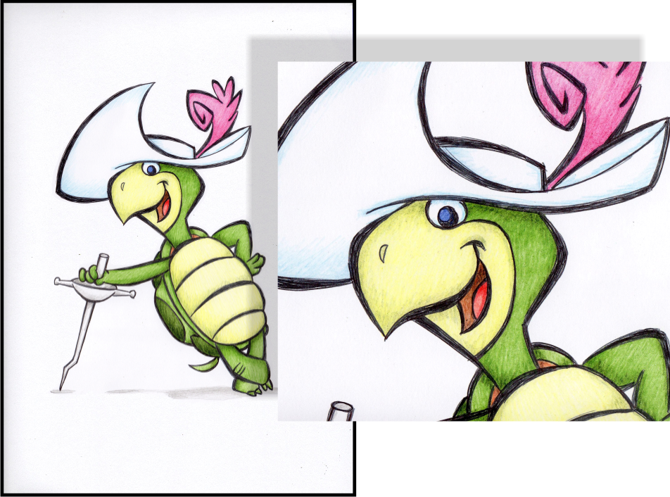 TOUCHÉ TURTLE ART - TARTARUGA TOUCHÉ