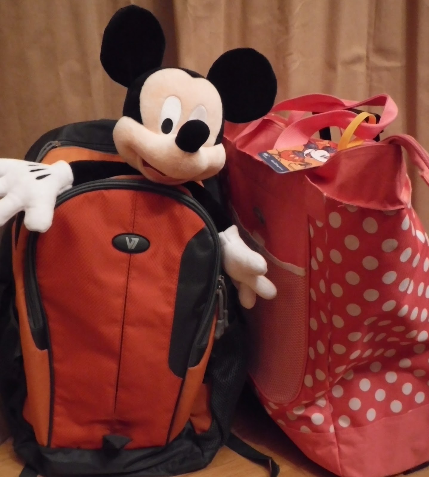 Picturing Disney: First Timer's Disney Packing Plan!