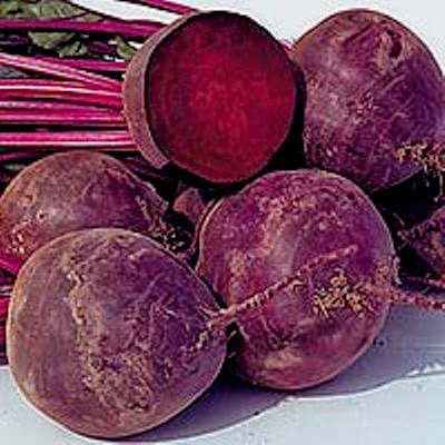 Červená repa - cvikla ~ EZOCESTA