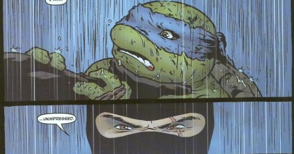 TMNT Entity: The IDW TMNT continuity timeline