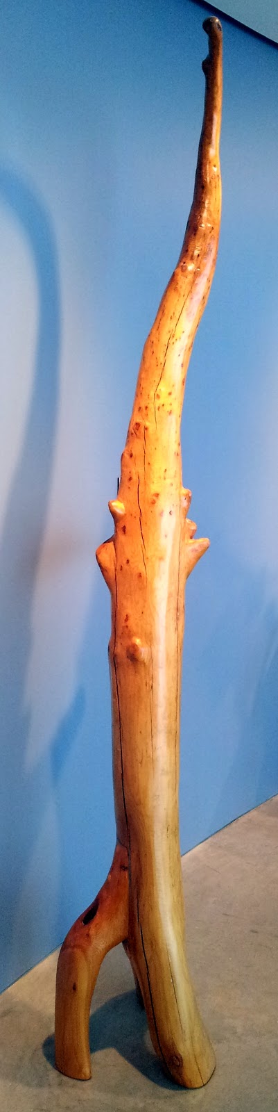 History and Culture by Bicycle: C. Patrick Rowan: Christmas Tree