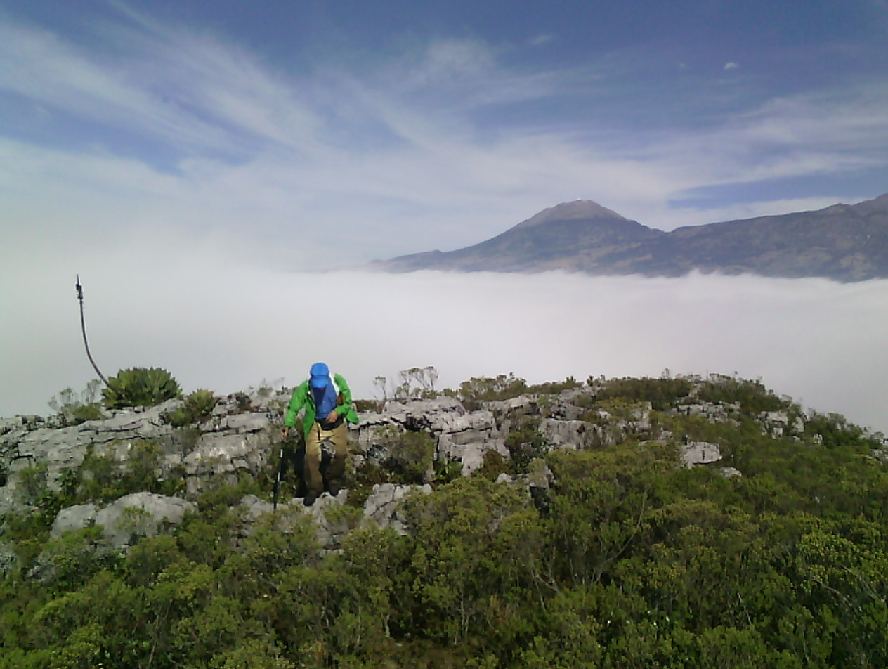 Senderos y Montañas de Veracruz: El Cerro Azul