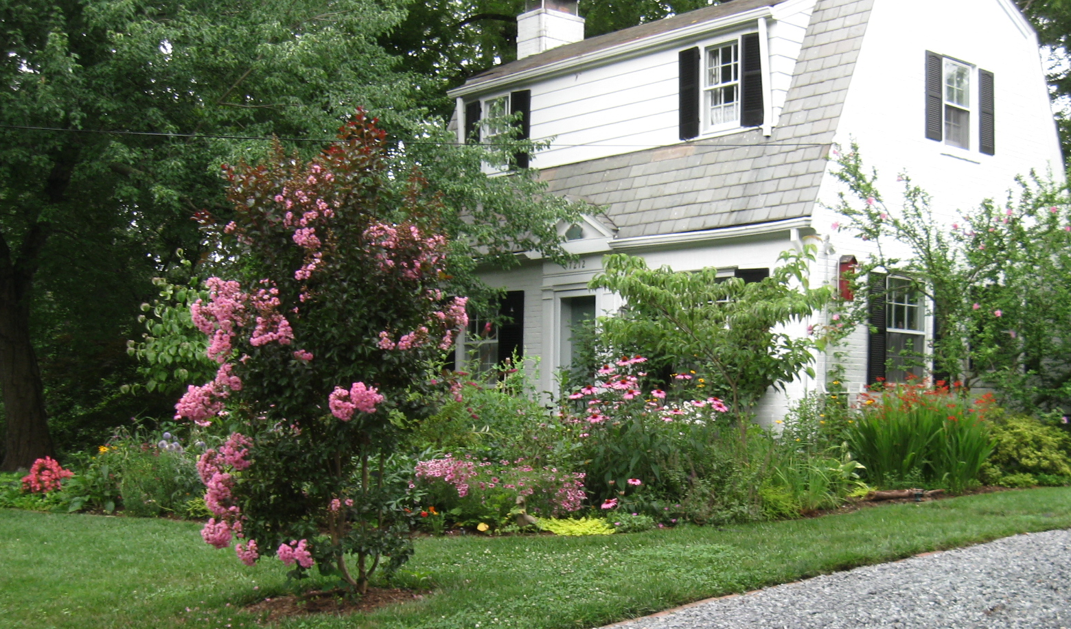 randuwa: My Neighbor's Gardens!