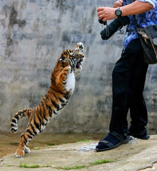 50 Crazy Pics Caught On Camera ~ tofsday