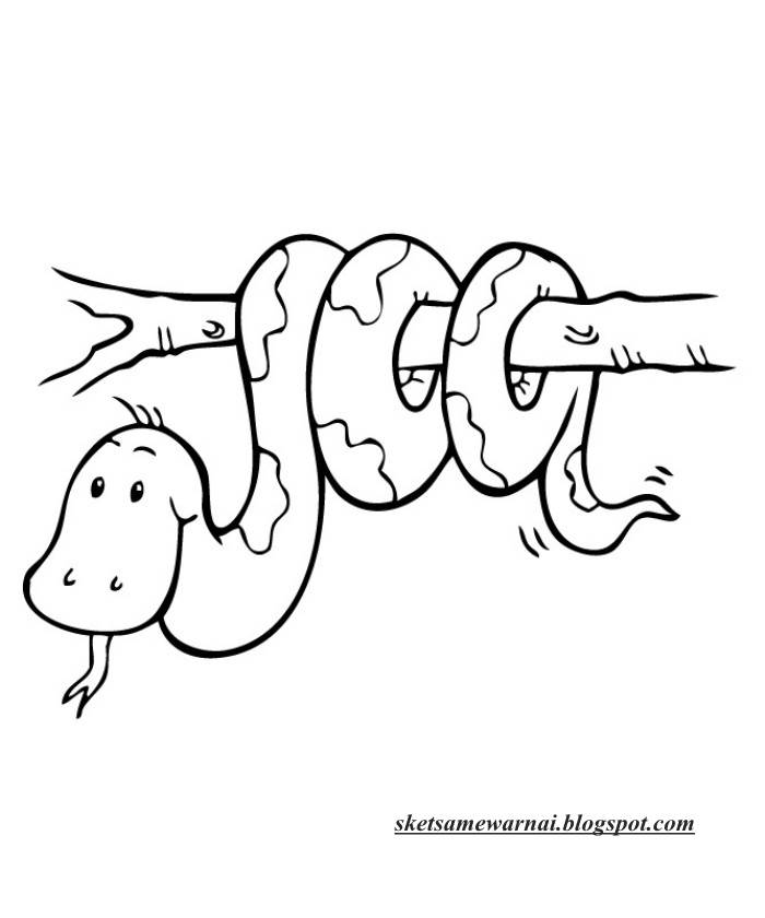 49+ Info Terbaru Gambar Sketsa Ular