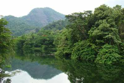 Thattekad Bird Sanctuary ~ Nature of Kerala