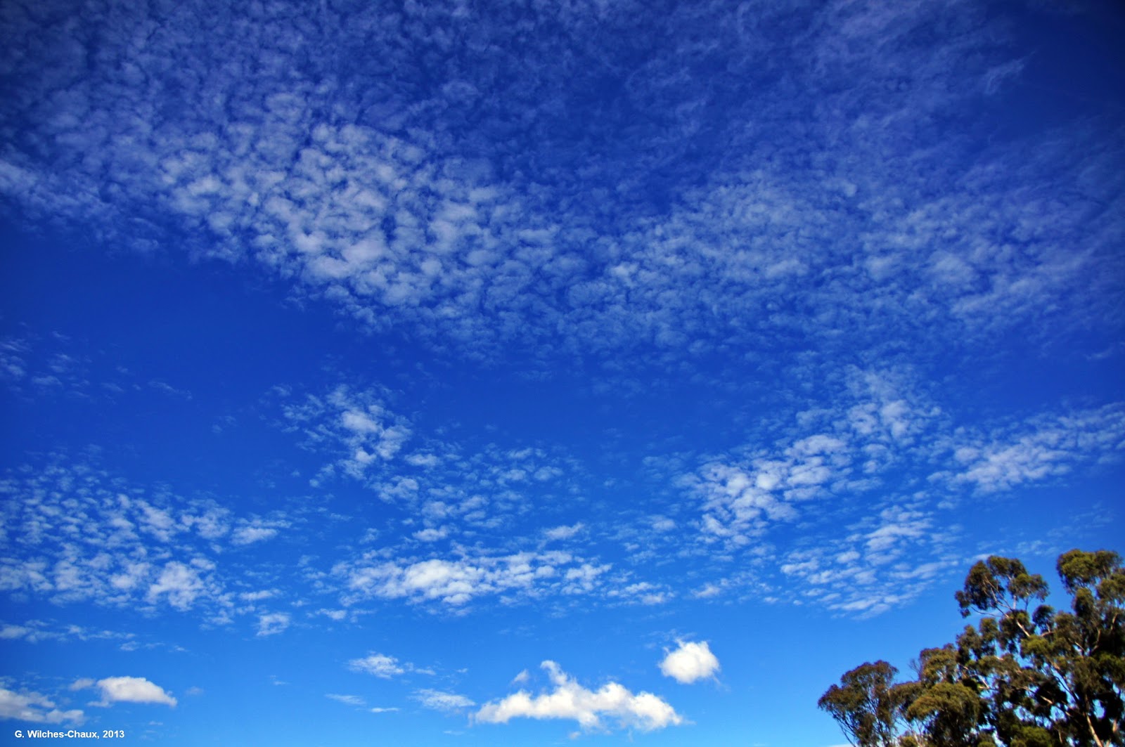 TEOFANÍAS: EL CIELO DEL DÍA DE AÑO NUEVO