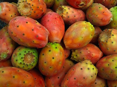 A comerse el mundo: Curiosidades para el verano II (El Higo Chumbo)