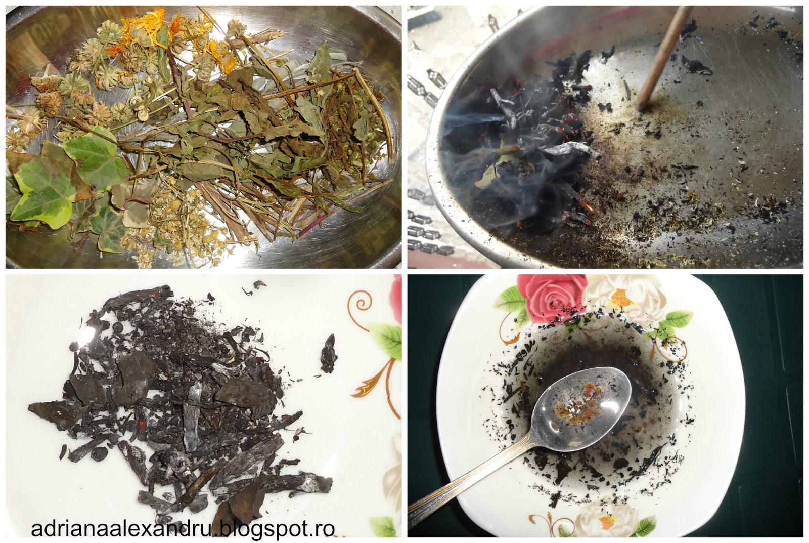 Jurnal de gradinarit- Tratarea semintelor