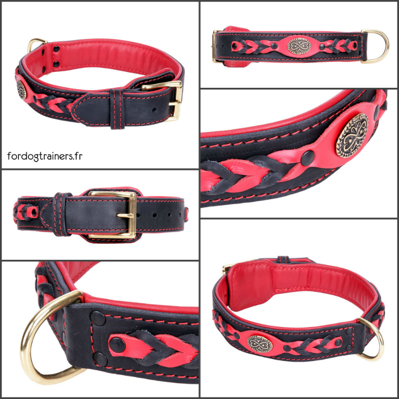 ForDogTrainers - accessoires pour chiens: Collier chien en cuir noir ...