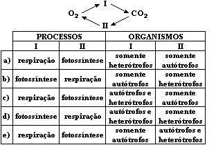 Ciclos Biogeoquímicos - Prof. Paulo Trin Junior: Ciclo do oxigênio