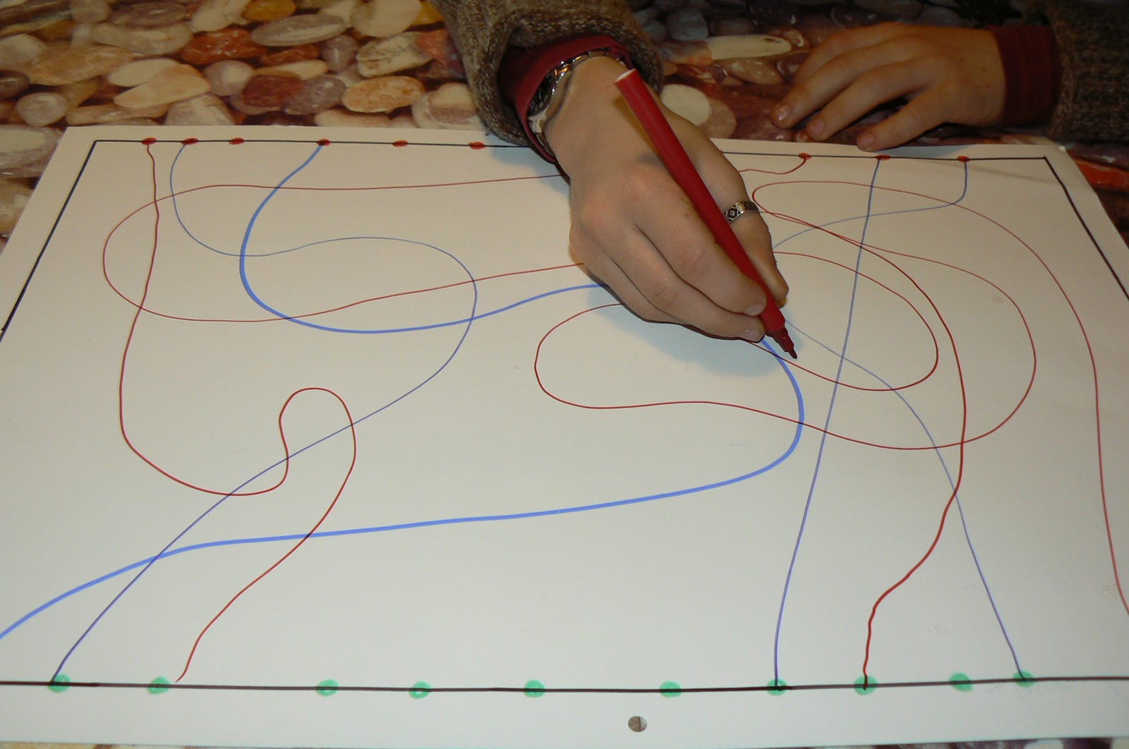 Orca: observar, recordar, crecer y aprender: Dibujo compartido