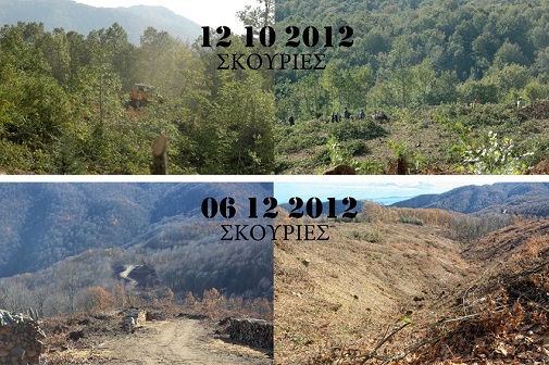 Απάντηση σε σχόλιο αναγνώστη σε ανάρτησή μας σχετικά με την ...