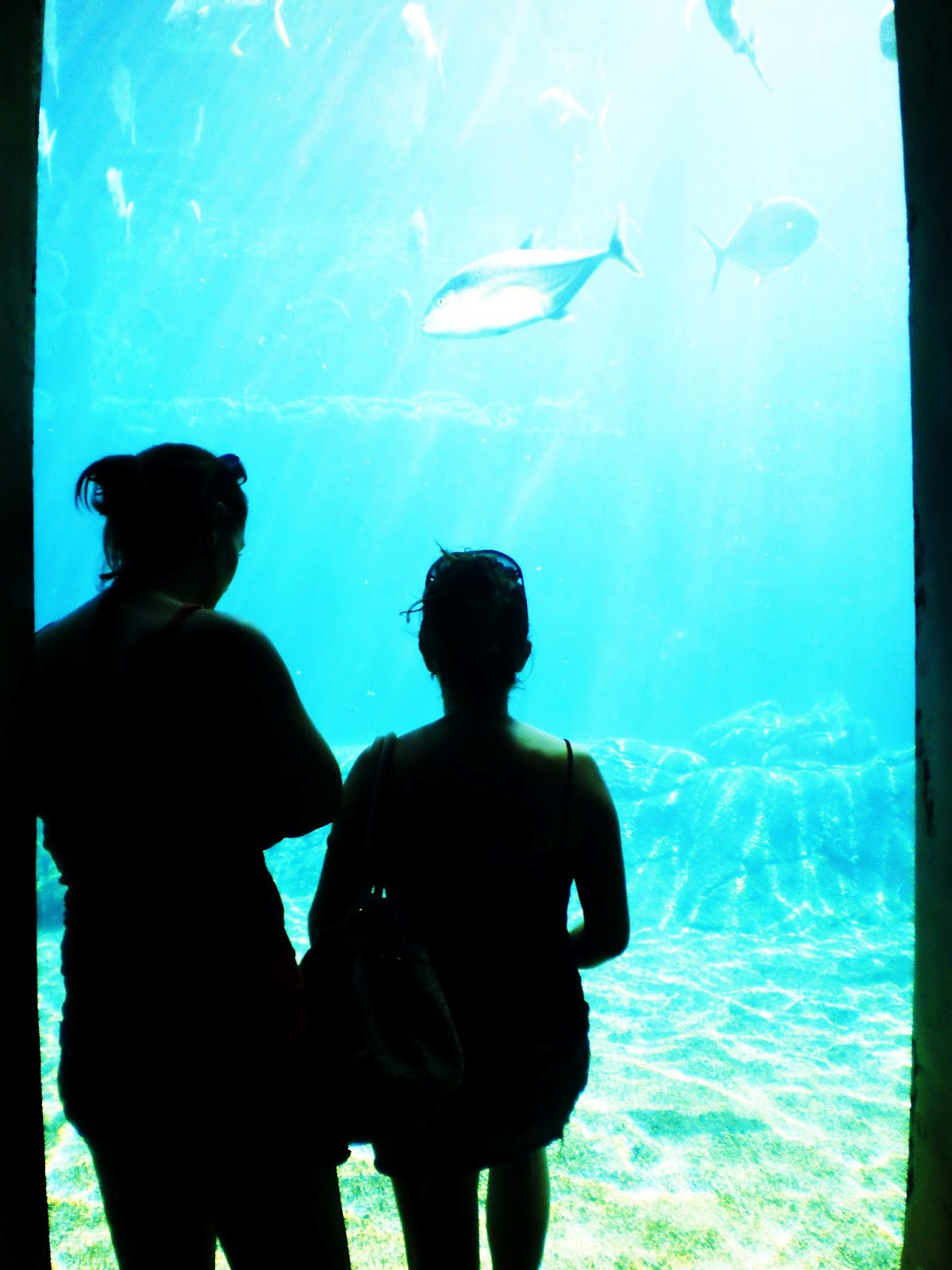 Robyn Holmyard: Printed Textiles Design