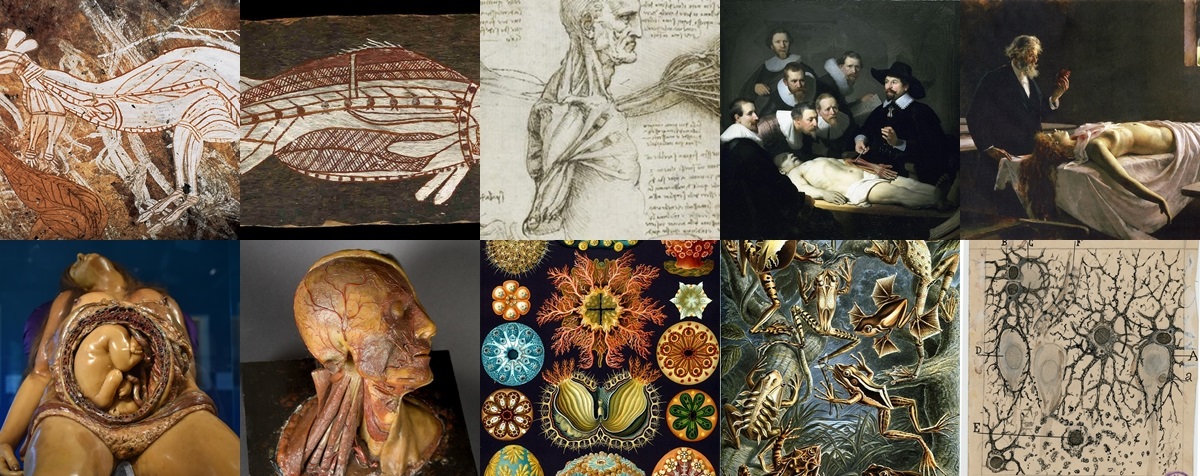 Scientific Art: Origins