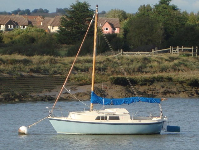 Bill's Log: Hunter Minstrel