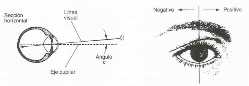 Cátedra N° 14 - Seminario N° 04 "El sinoptóforo"
