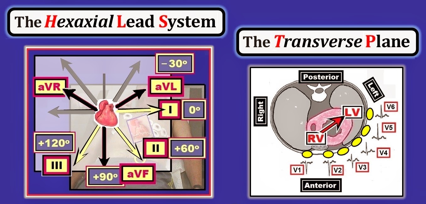 Normal ECG & electrocardiography principles : 네이버 블로그