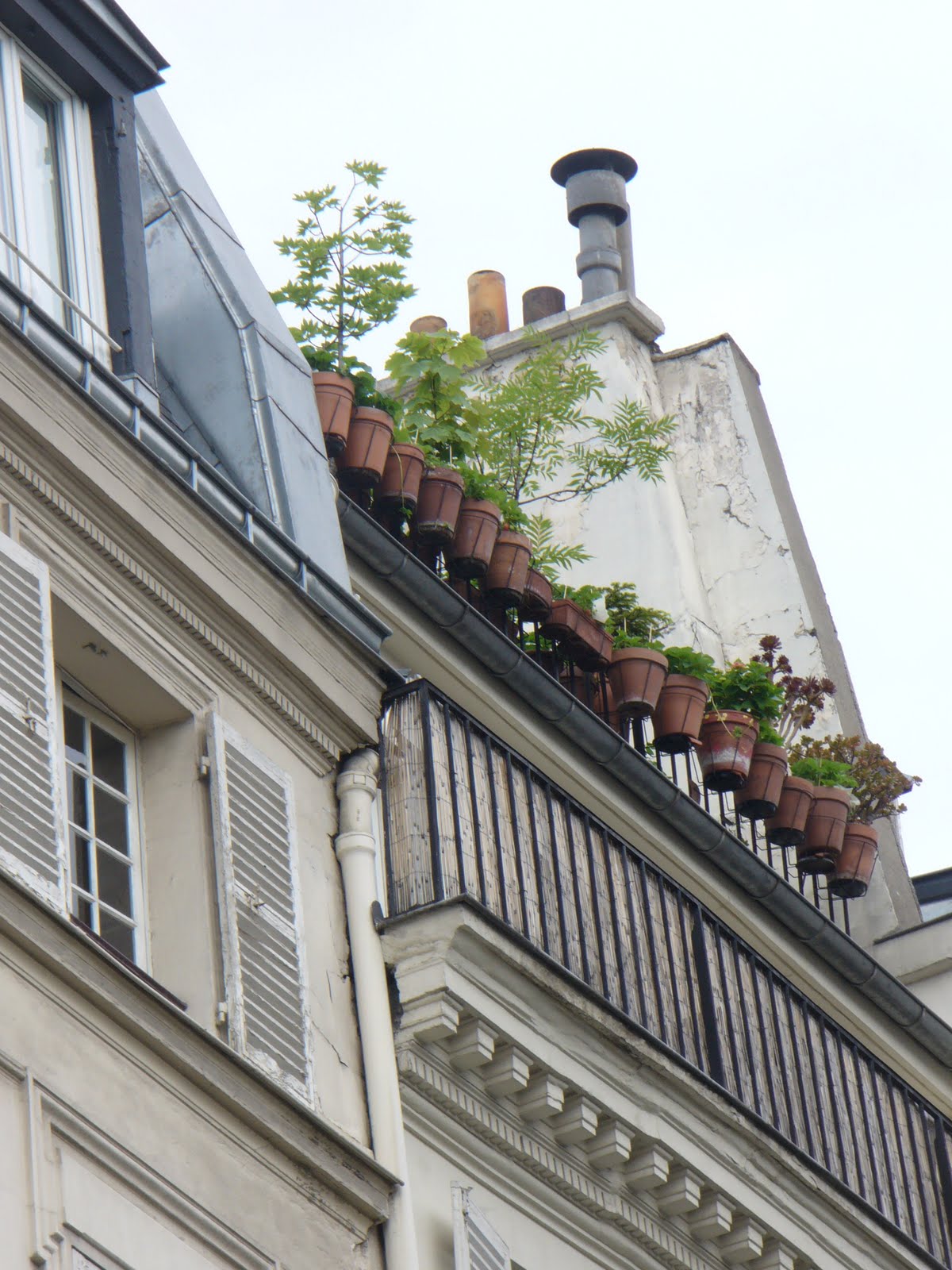 Les balcons de Paris: Des balcons de tous les types