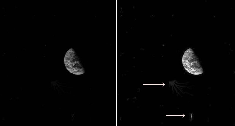 New Released NASA Apollo Missions Images Show Giant Living Space Creatures