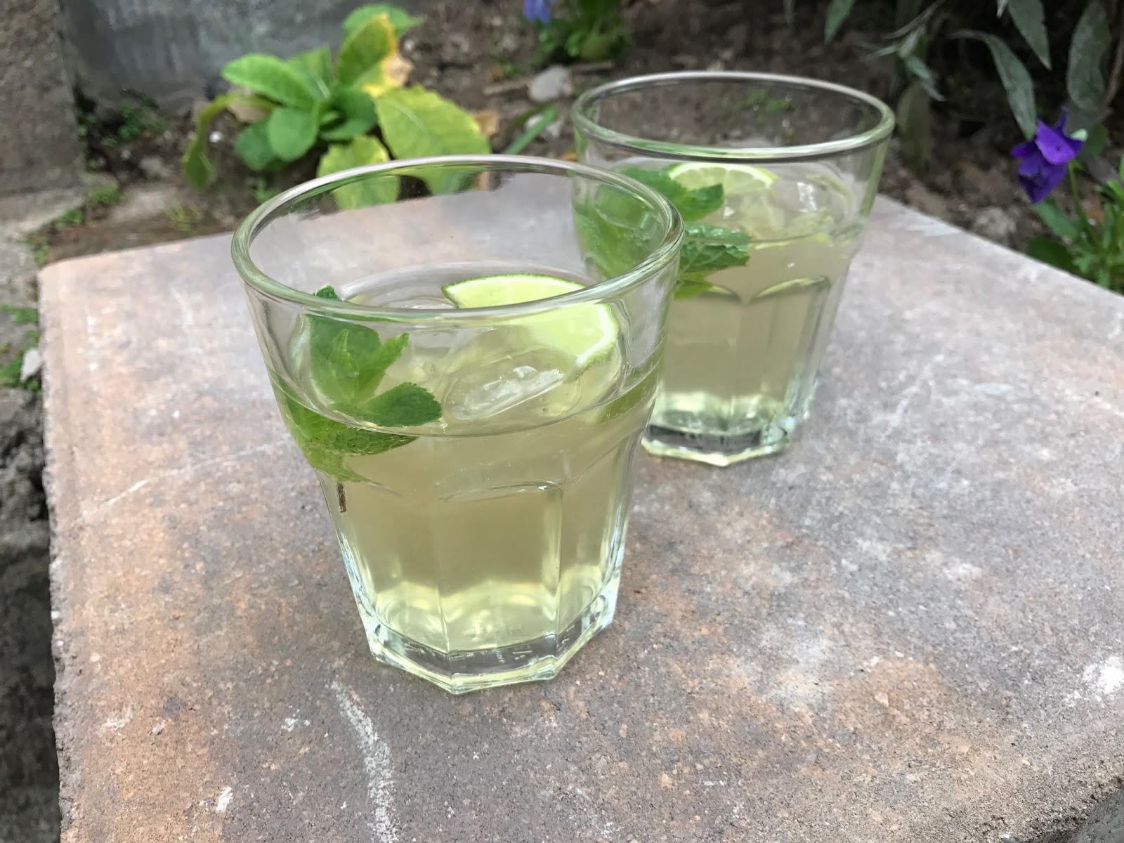 Sparkling Lemon Cooler | Plant Powered Human