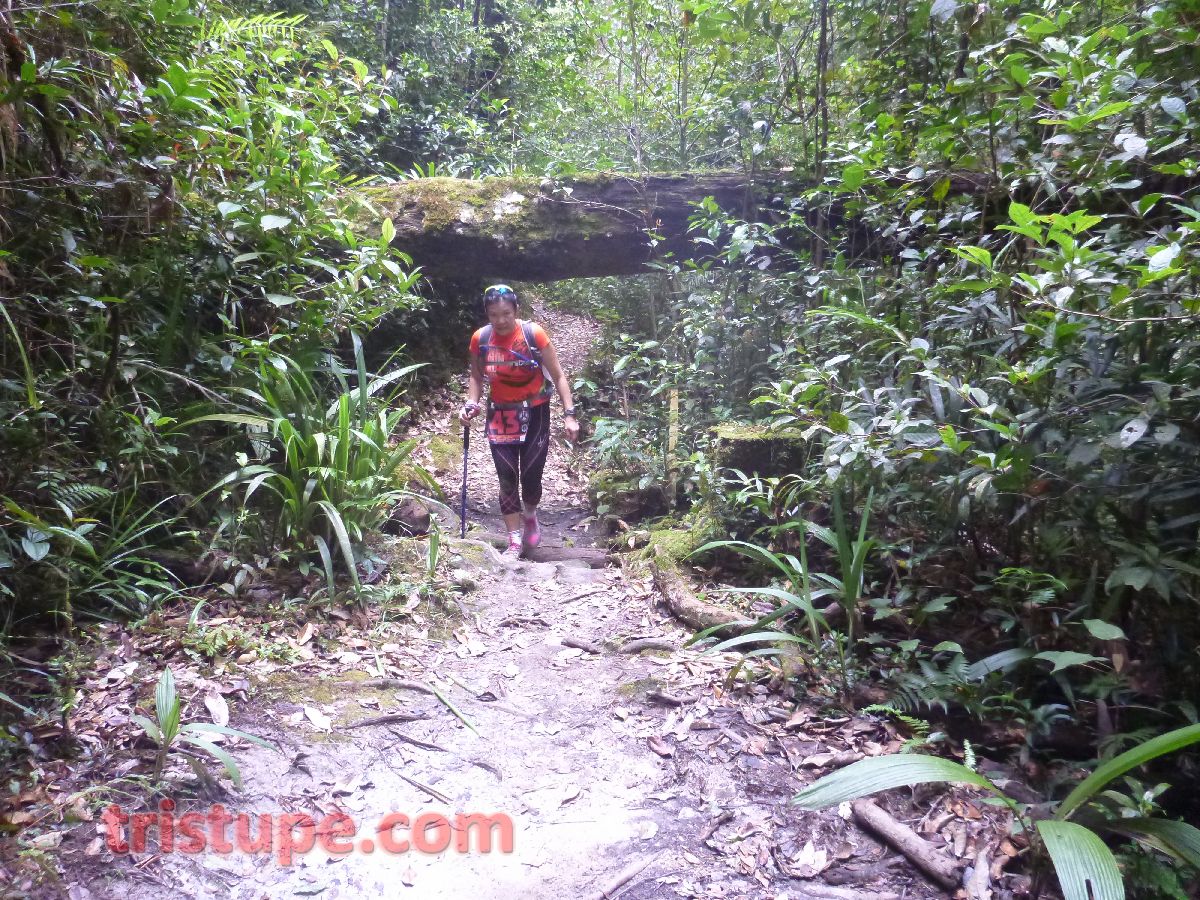 Sabah Adventure Challenge Race Report : Longest Day 1 ~ TRISTUPE.COM