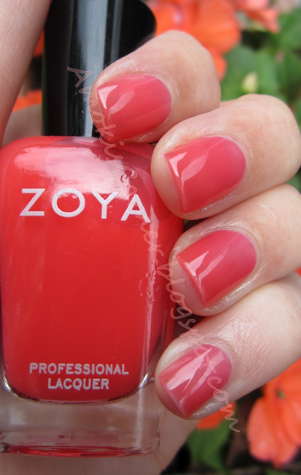 Zoya Elodie Vs Maya