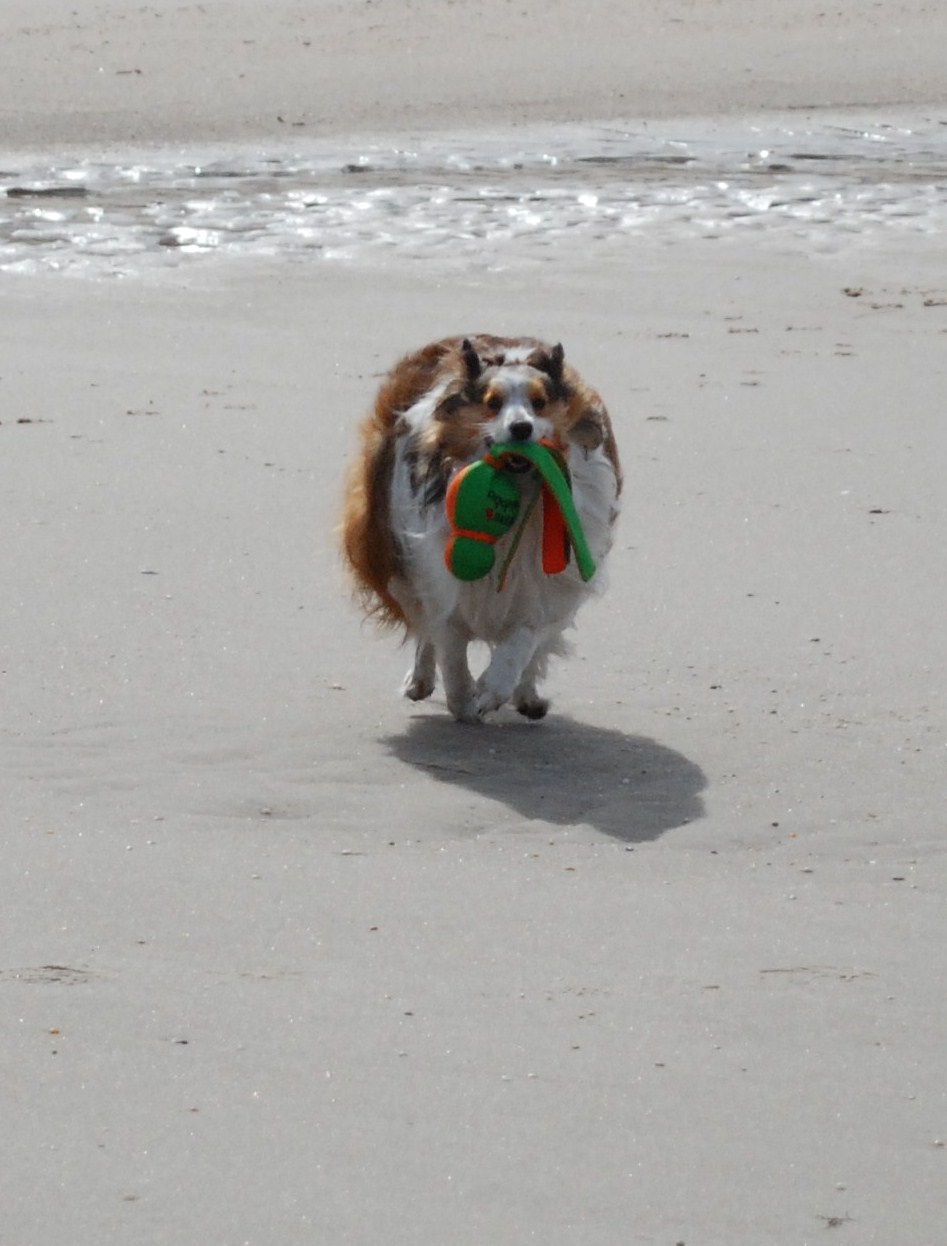 Margaret Montet: This is what low tide looks like in winter