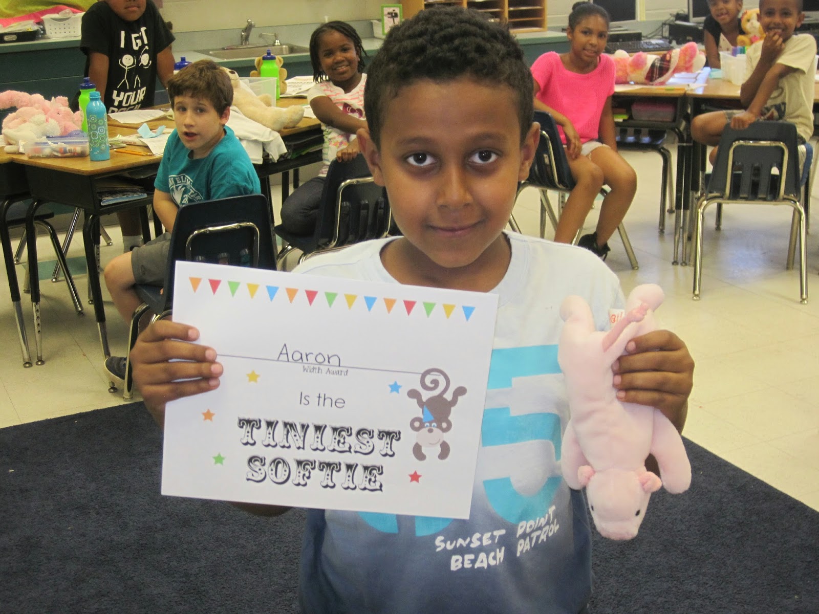 Flamingo Fabulous: Measurement Fair!